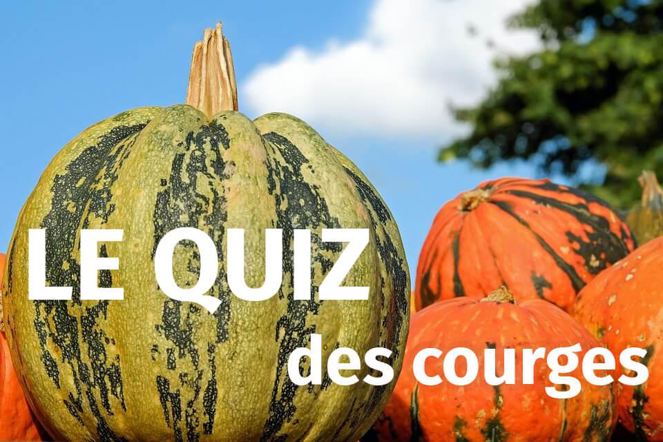 Notre Top des Courges - Le Blog - Les Commis