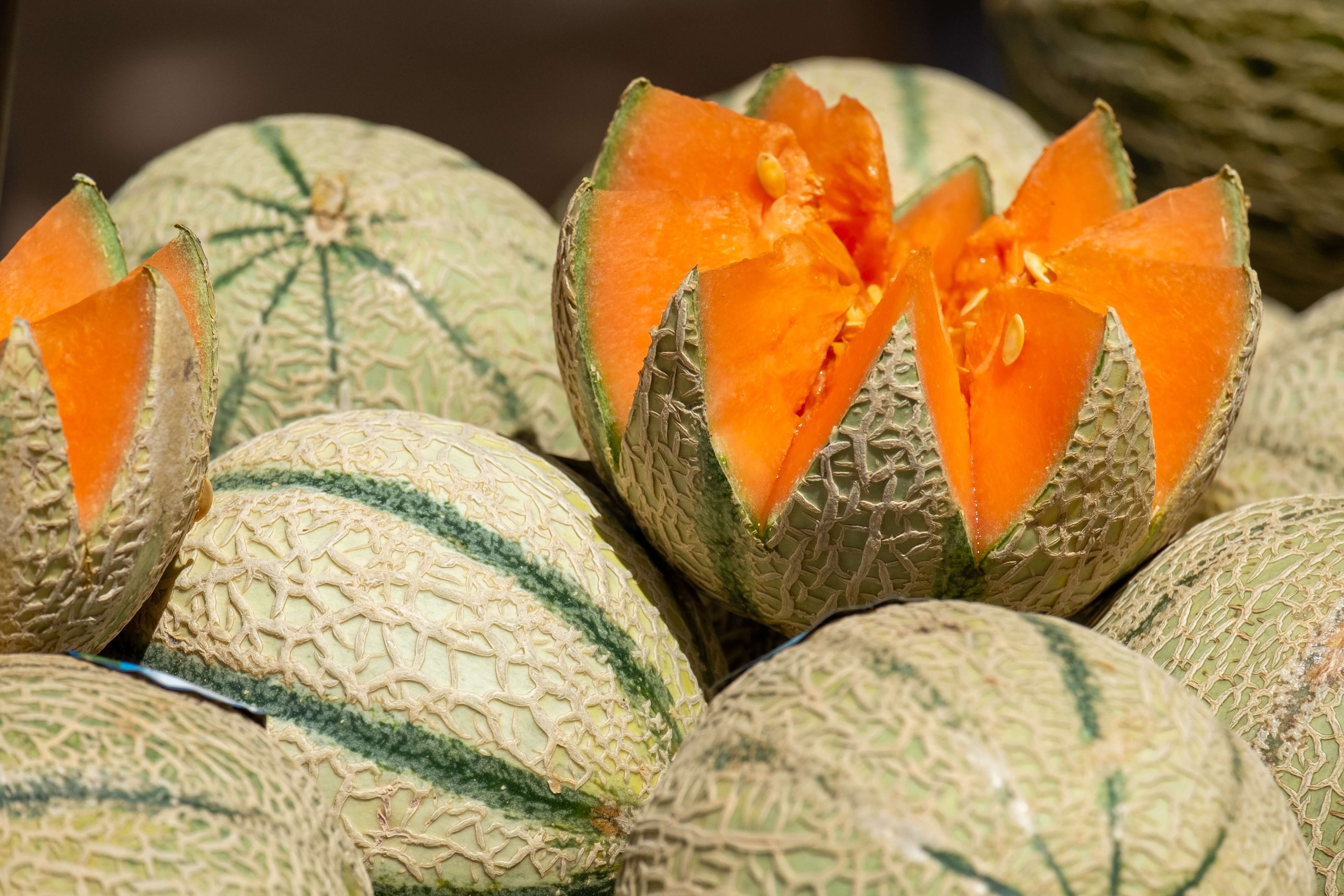 Tout sur le melon. - Le Blog - Les Commis